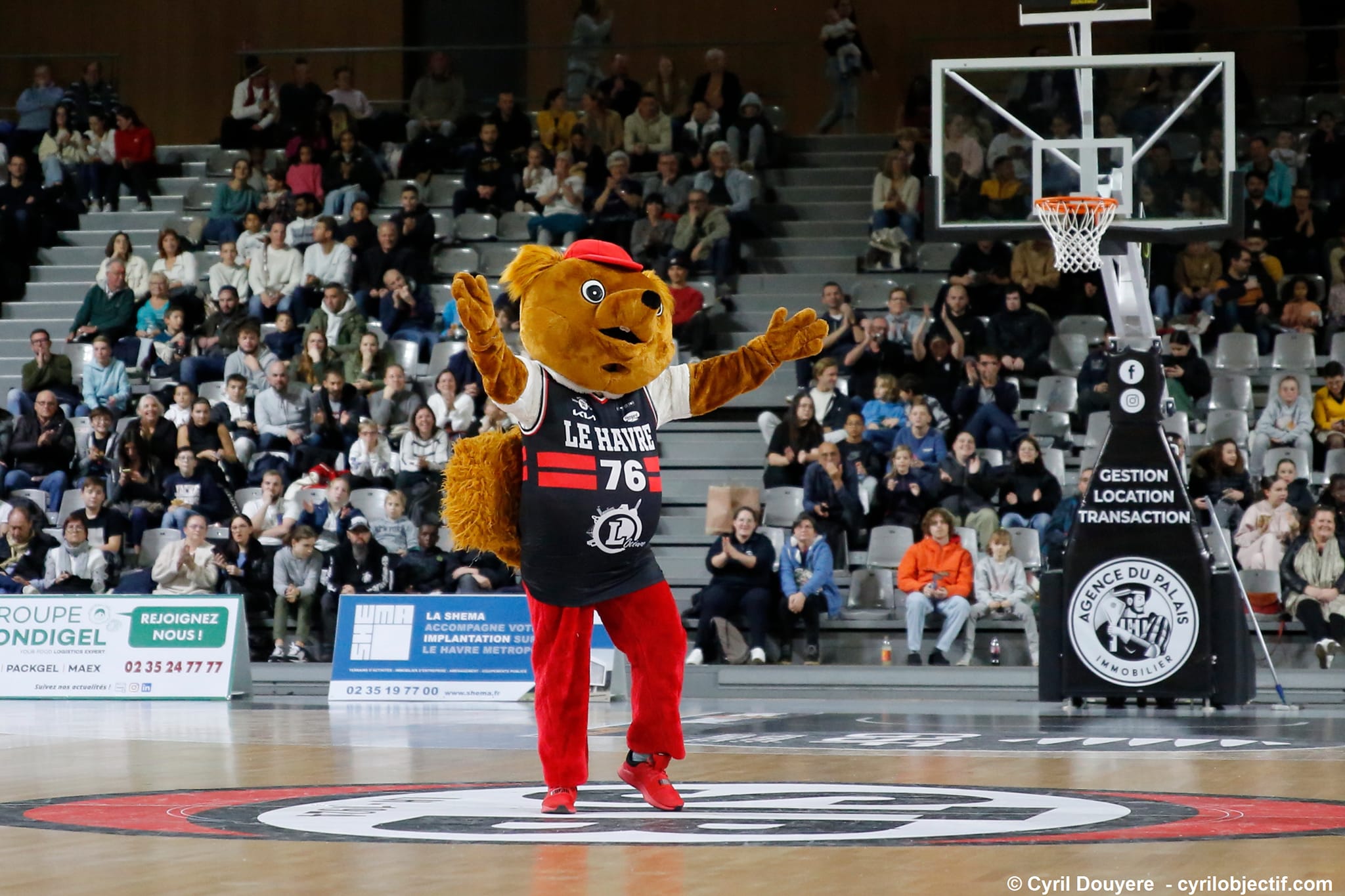 La mascotte STOUBY – STB Le Havre – Site officiel du STB Le Havre ...
